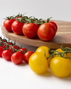 Unsere Tomaten - Tasty Tom